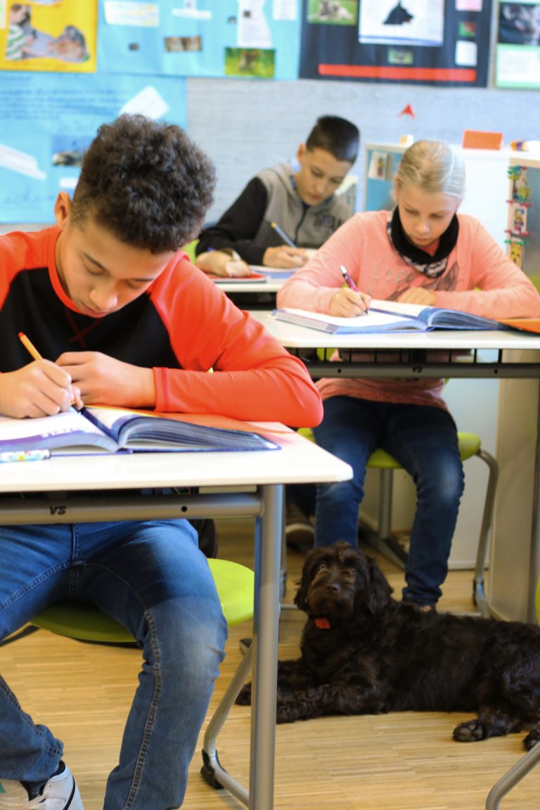 IMG_7436 – Johannes-Widmann-Gemeinschaftsschule